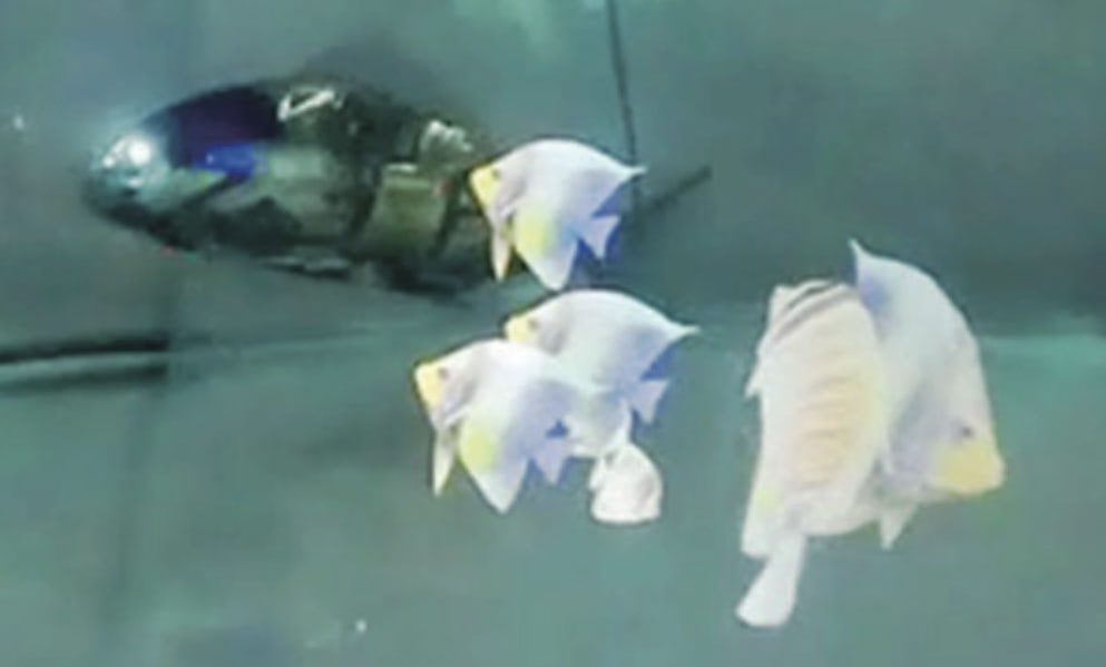 Augmented Reality and Robotics: A Survey and Taxonomy for AR-enhanced ...